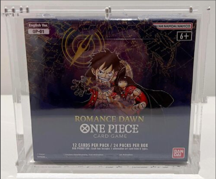 Acrylic Protector: Safeguard Your Toys with an Effective and Stylish S ...